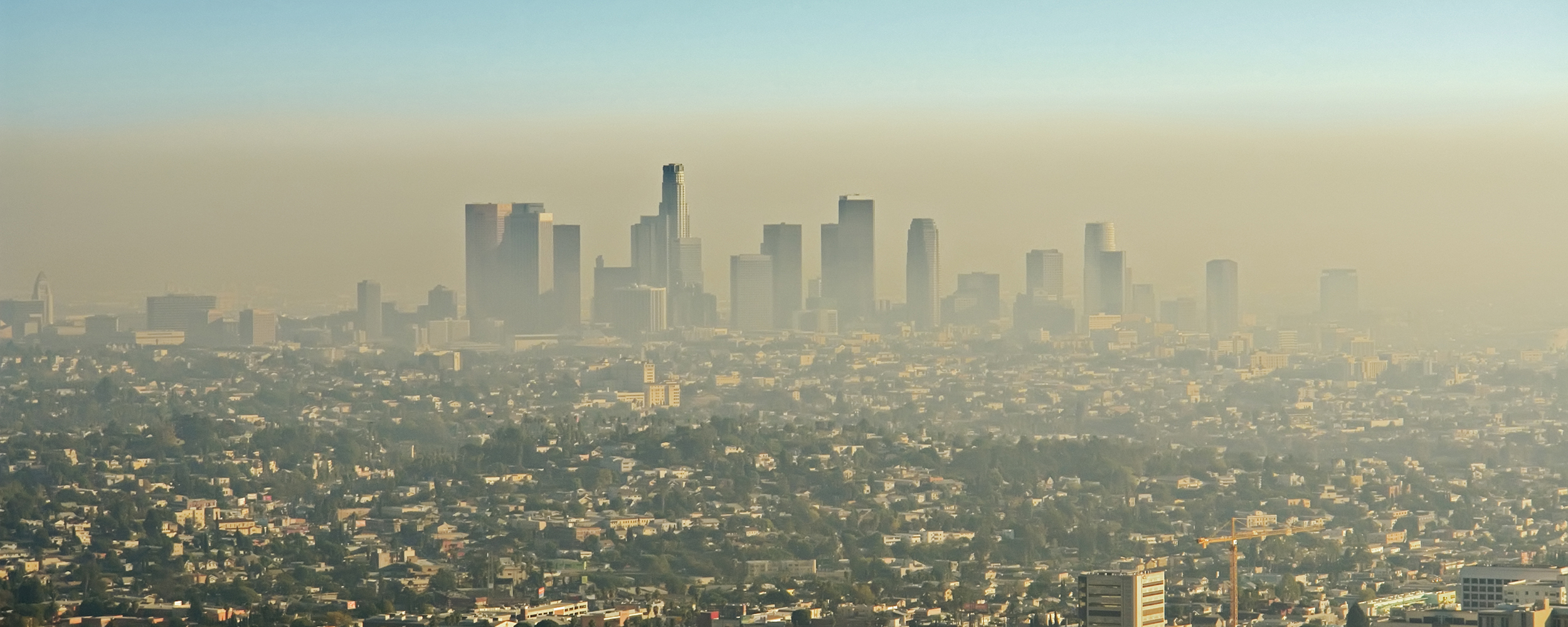 Environmental Exposure & Protection | RTI