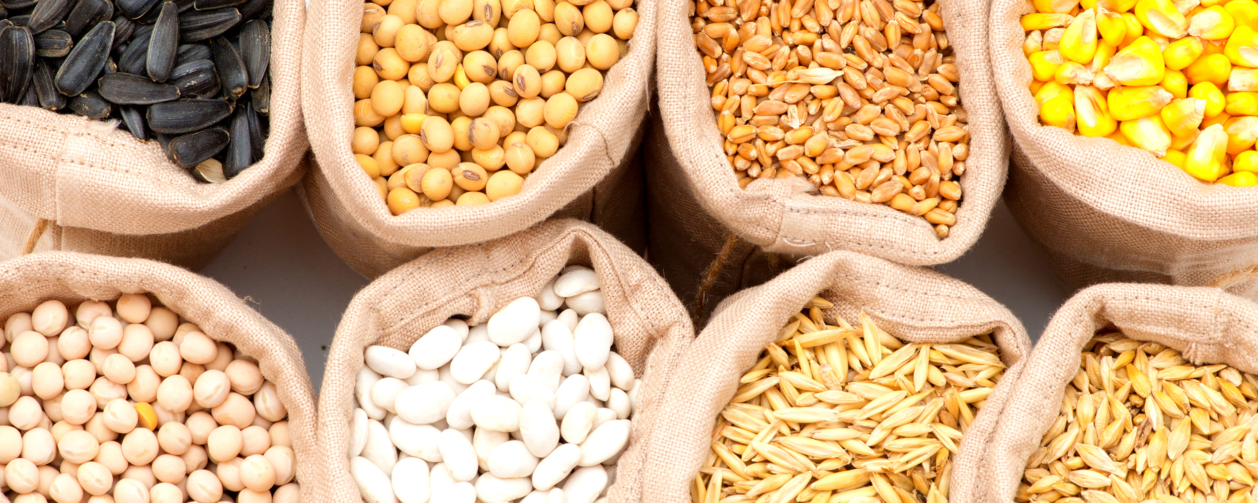 USDA Trade Impact Model: Calculating the Effects of Agricultural ...