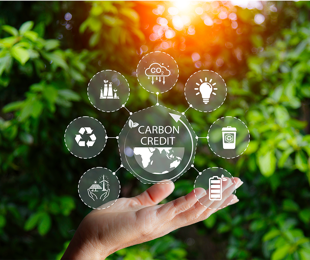 Africa's Carbon Markets Can Drive Sustainable Development | RTI