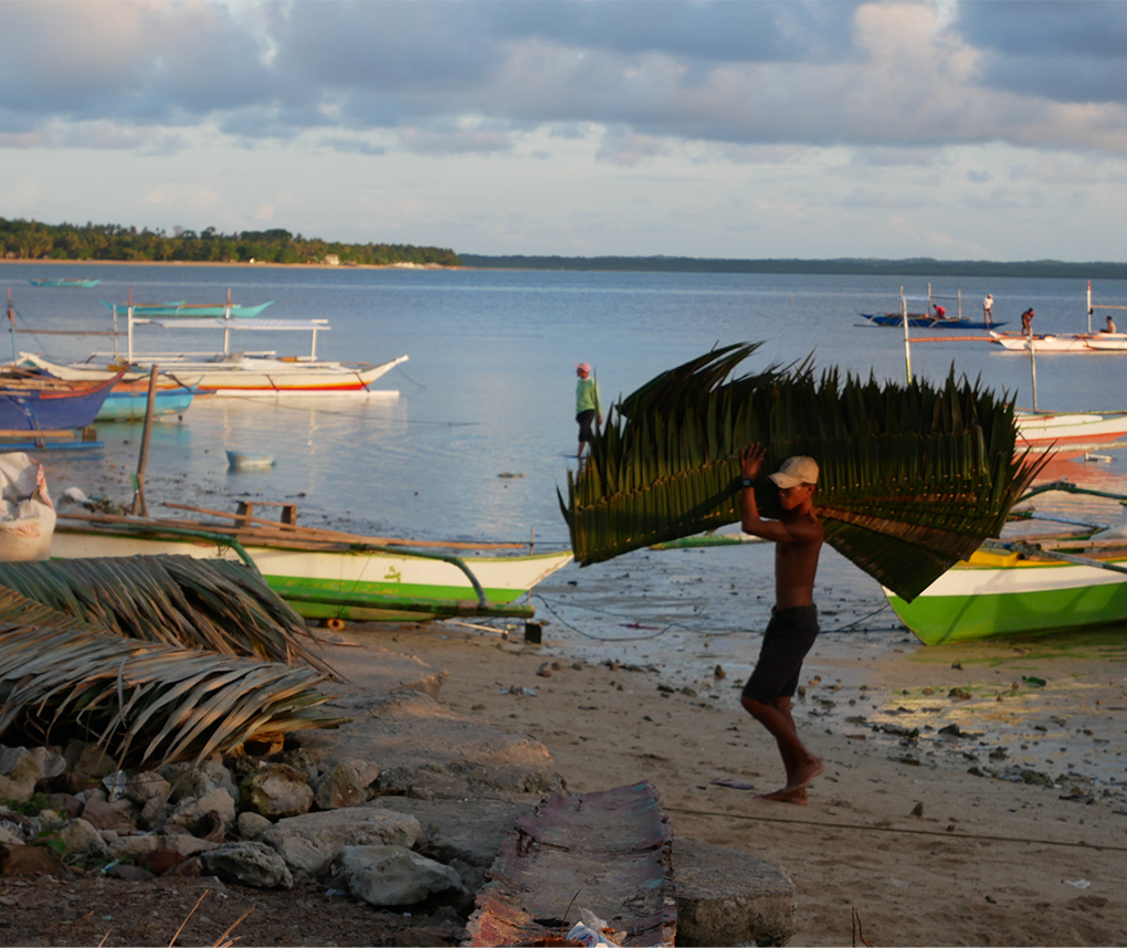 Renewable Energy Solutions Build Resilience in Island Nations | RTI