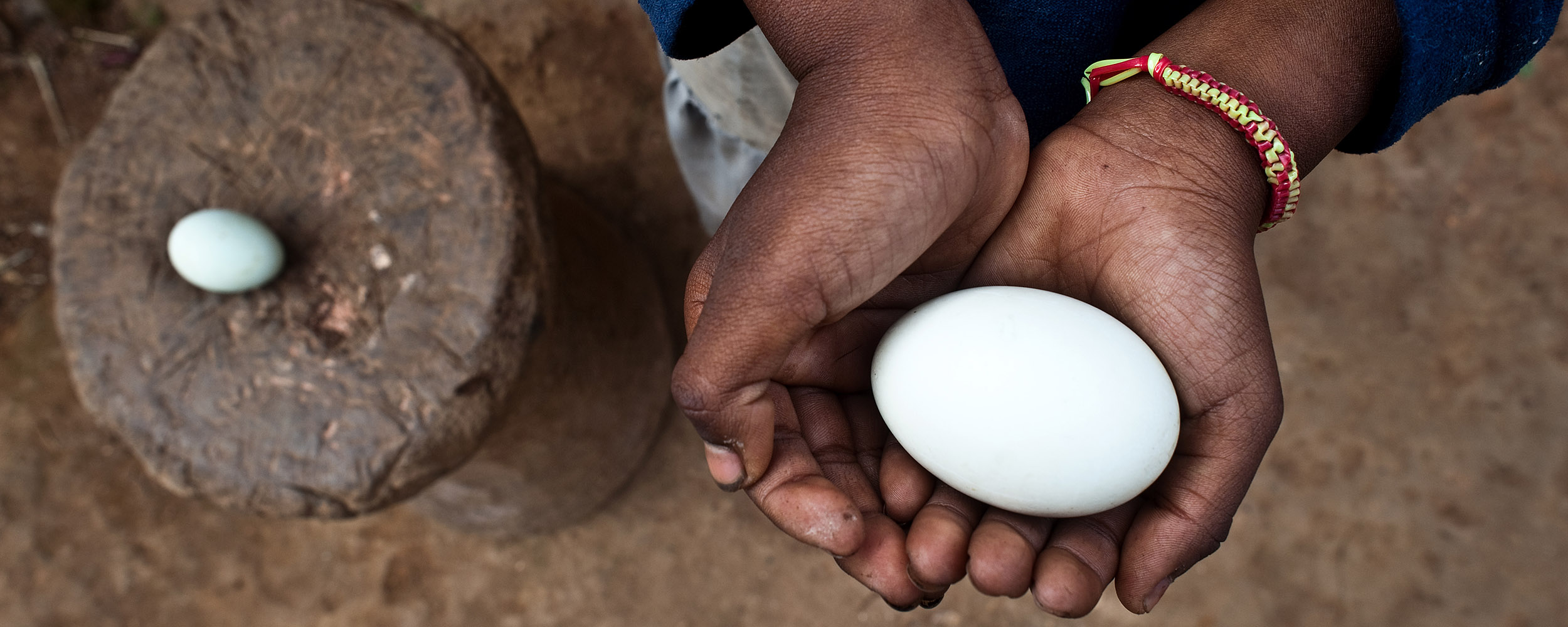 For Good Nutrition, Let's Get Back to the Basics of Animal-Source Foods ...