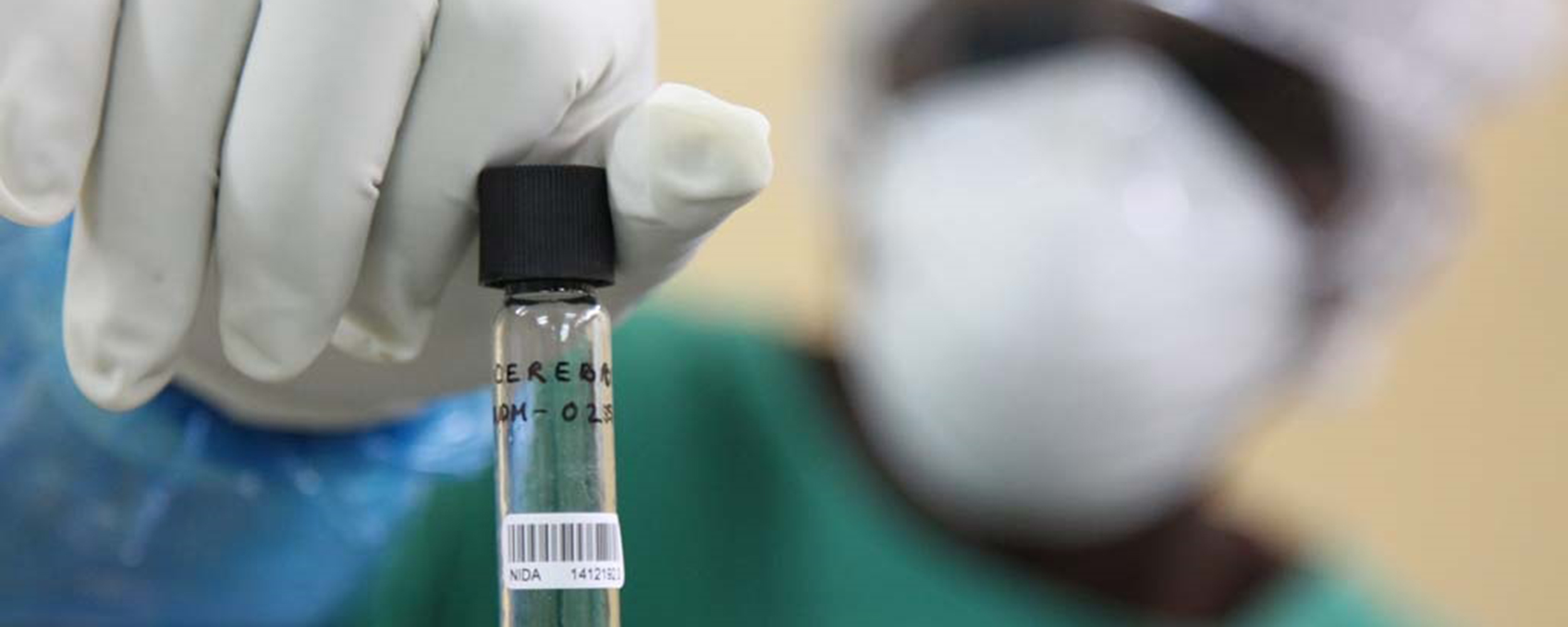 Learning from Death to Improve Health Around the World | RTI