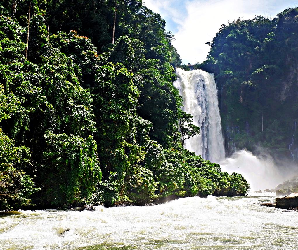 Implications of Changing Water and Soil Salinity in North Carolina's ...