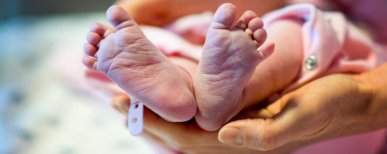 Neonatal Research Network (NRN) | RTI