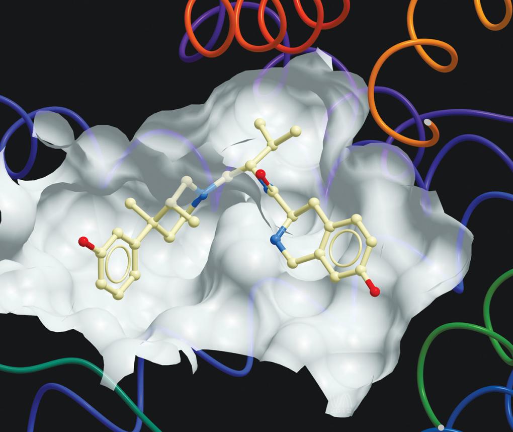 RTI International's JDTic Helps Scientists Uncover Structure of the ...